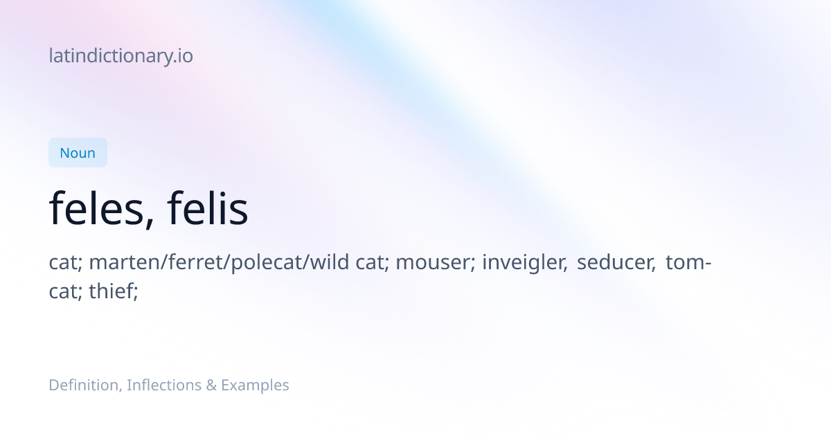 Feles: Latin Declension & Meaning | latindictionary.io